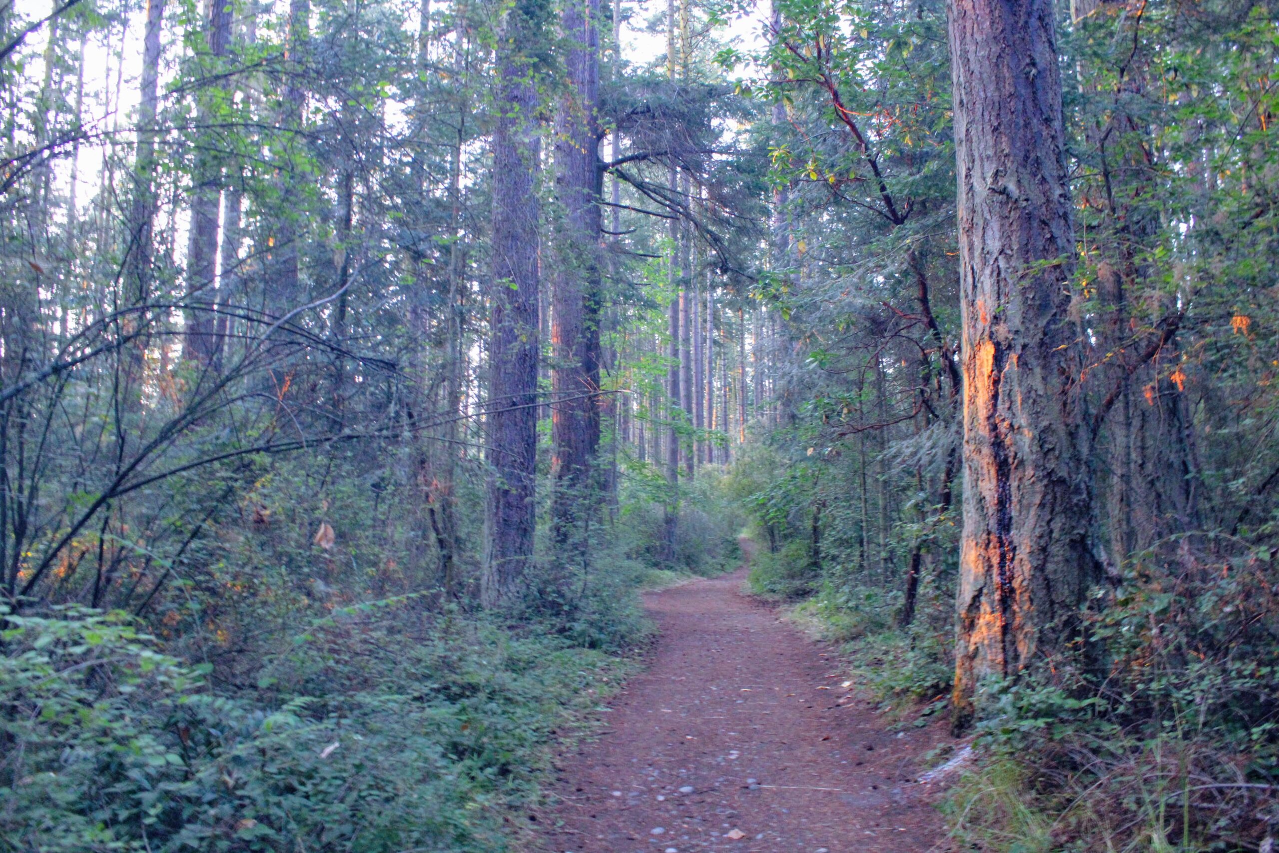 Discover Port Townsend - Explore the Wonderful State of Washington